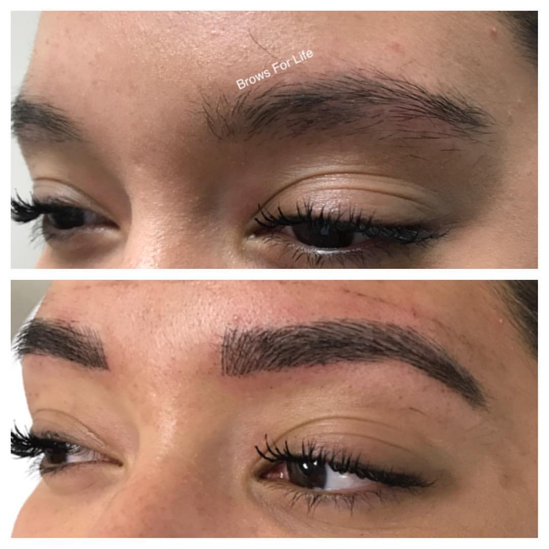 14566453_203079573449052_4126421296553262303_o – Brows For Life